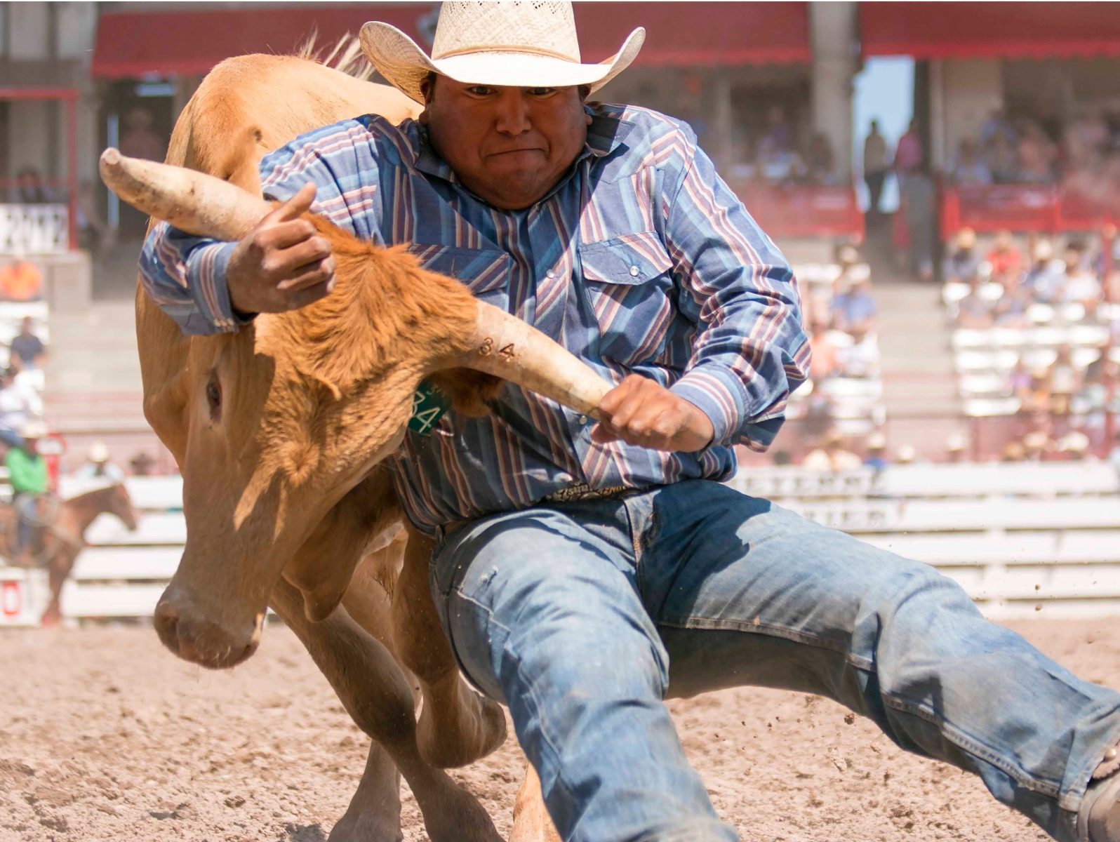 Patterns - Cheyenne Frontier Days